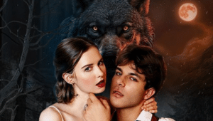 I Love Verticals | Home